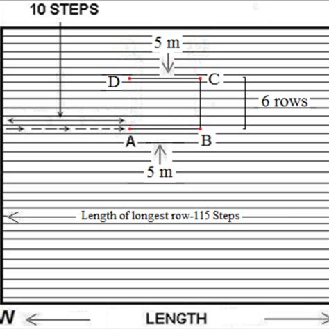 PDF Crop Cutting Experiment Techniques For Determination Of Yield Rates Of Field Crops