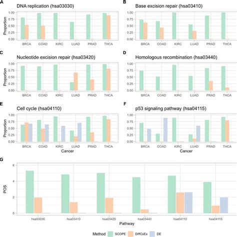 Comparison Of Scope To Alternative Methods On Pathway Identifications