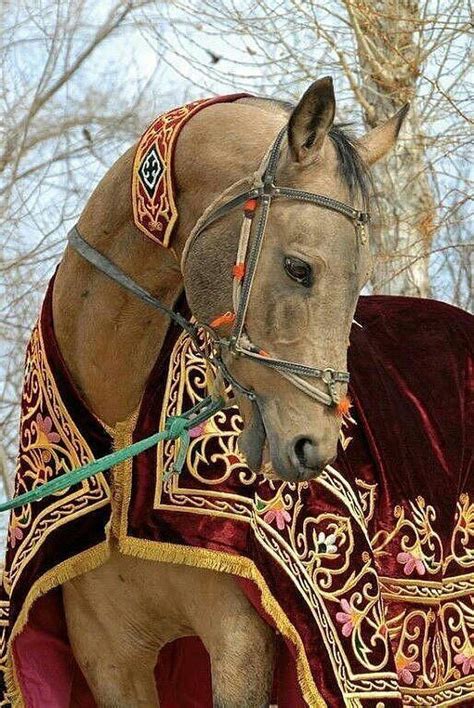Фотография | Любовь лошадей, Лошадиные породы, Животные