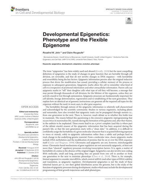 Epigenetics Wikipedia