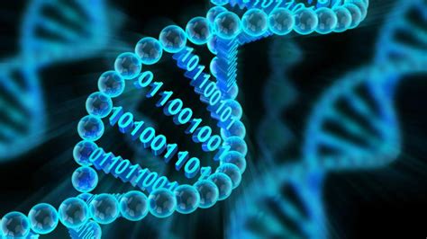 Next Generation Sequencing Bioinformatics Utah Public Health Lab