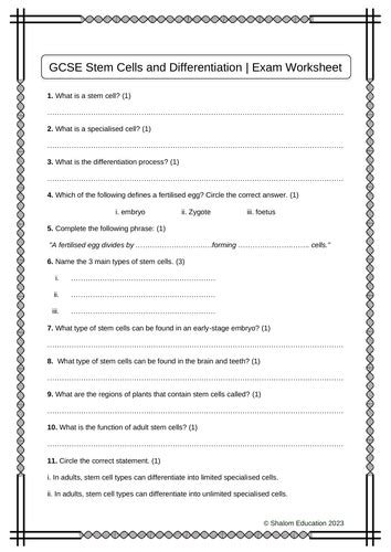 Gcse Biology Stem Cells And Differentiation Practice Questions Teaching Resources