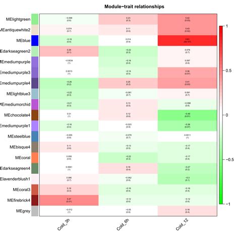 加权基因共表达网络分析 Wgcna） 共表达网络模块构建 生物信息学数据分析必备技能 知乎