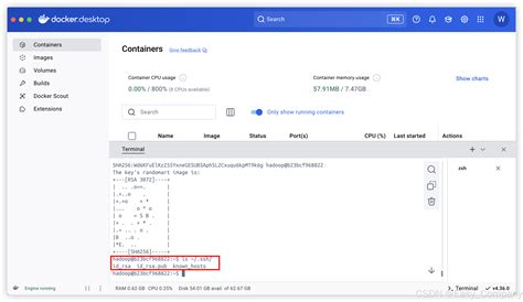 超详细！关于在docker里安装hadoop的详细操作（部署单点集群） docker安装hadoop csdn博客