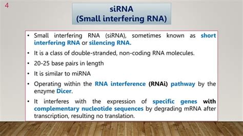 Sirna And Mirnapptx Programming Languages Computing