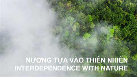 Interdependence With Nature Rosa Luxemburg Stiftung