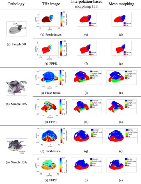 interpolation based morphing [11] vs mesh morphing download