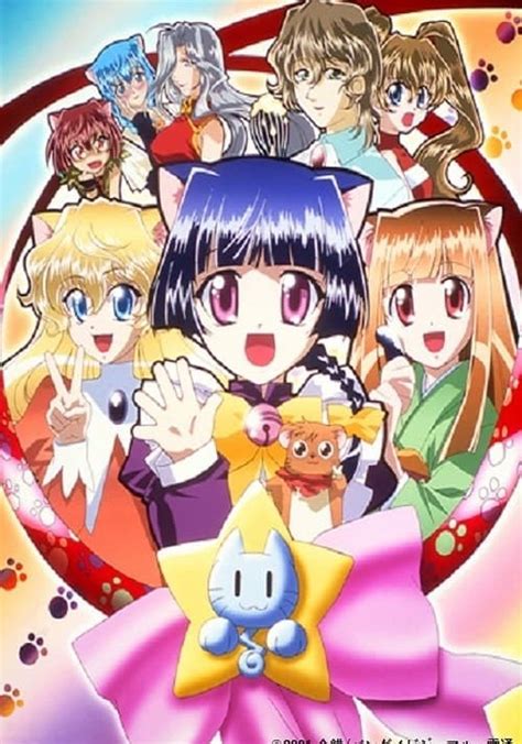 Magical Meow Meow Taruto Season 1 Episodes Streaming Online