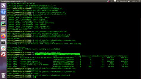 monitoring a docker container with elasticsearch kibana and metricbeat