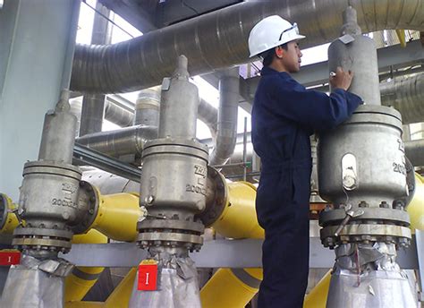 Online Safety Valve Testing Hexareka