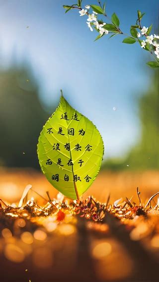 心闲如静水，无事亦匆匆 科幻手机动态壁纸 科幻手机壁纸下载 元气壁纸