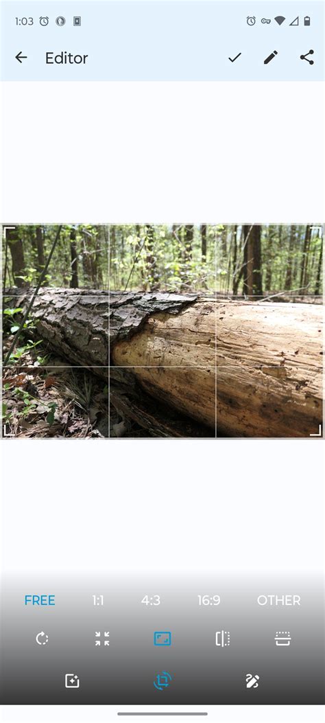 Android Gallery Apps That Are Better Than Google Photos