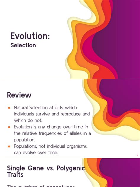 Bio Complete Evolution Selection And Speciation Pdf Natural Selection Evolution