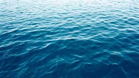 Susan Stalcup Strunk