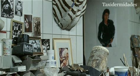 Taxidermia 2006 Película De György Pálfi Taxidermidades