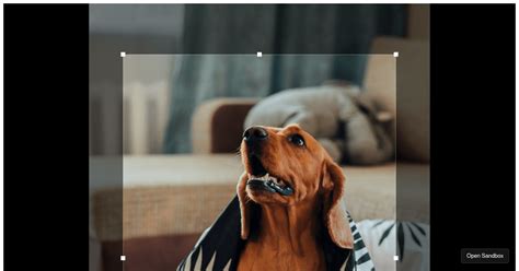 Vue Advanced Cropper Square Cropper Codesandbox