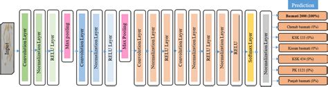 The Proposed Cnn Architecture For Rice Seed Classification Download