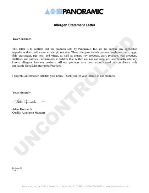 20 Official Statement Letter Examples To Download