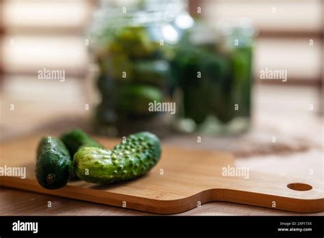 Preparation For Fermenting Fresh Cucumbers By A Process Of Pickling Called Lactic Acid