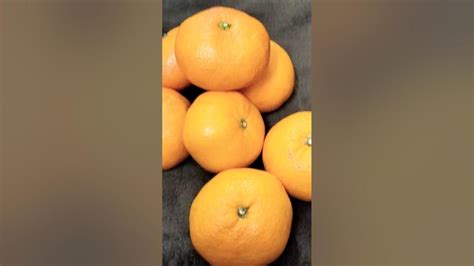 ក្រូច🍊🍊🍊🇯🇵 ️ Youtube