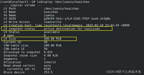 linux lvm逻辑卷 lvm pdf csdn博客