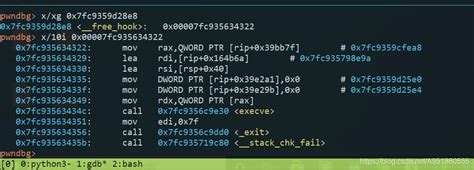 pwn题堆利用的一些姿势 free hook freehook csdn博客