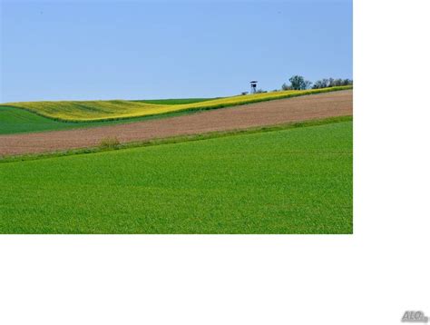 Купуваме земеделска земя в Североизточна България Купува имоти Провадия Купуваме земед