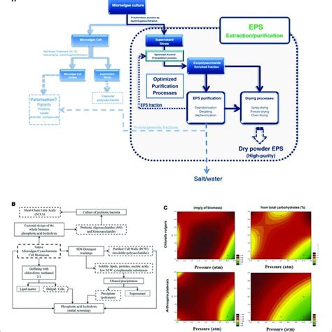 Mostafa Gouda Doctor Professor Assistant Nrc Zhejiang
