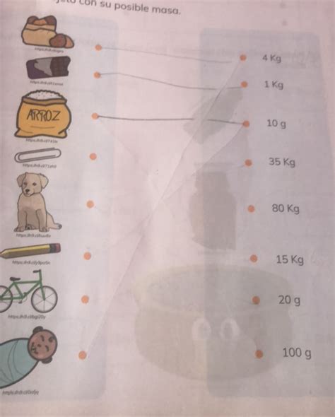 Match Each Object With Its Possible Mass StudyX