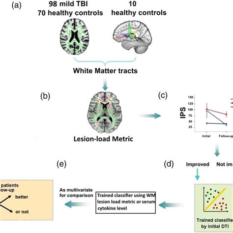 Cognitive Function Predicted Using Support Vector Regression Svr Svr