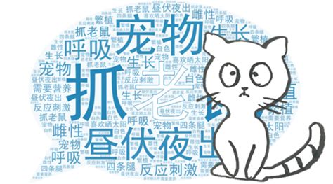 少儿python编程第三讲：常量变量和数据类型 知乎