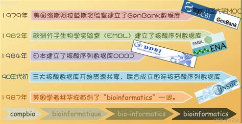 【bioinformation 1】生物信息学 csdn博客
