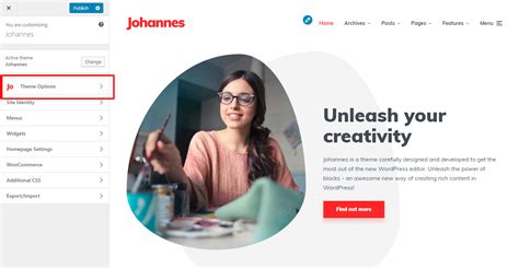 Theme Options Customizer Overview Johannes Wordpress Theme Documentation Meks