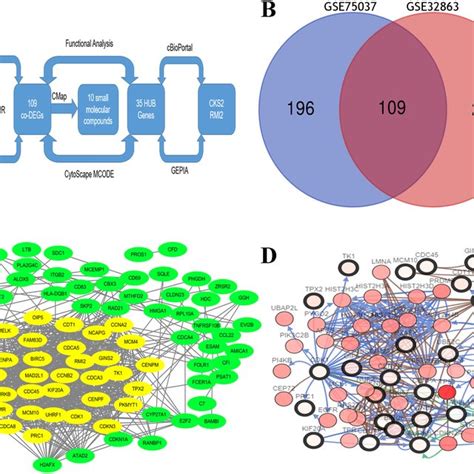 Flow Chart Venn Diagram And Interaction Of The Hub Genes Of This