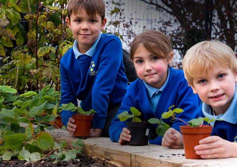 Herts Fullstop Eco Brochure By Herts Fullstop Issuu