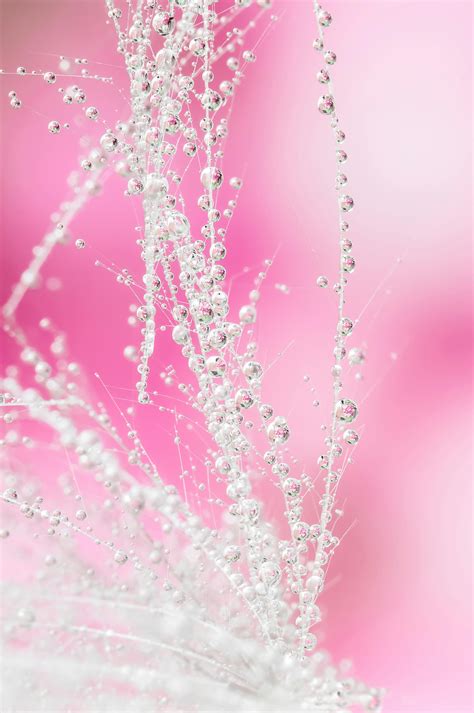 Lock Screen Windows Wallpaper 4k Photos Download The Best Free Lock Screen Windows Wallpaper 4k