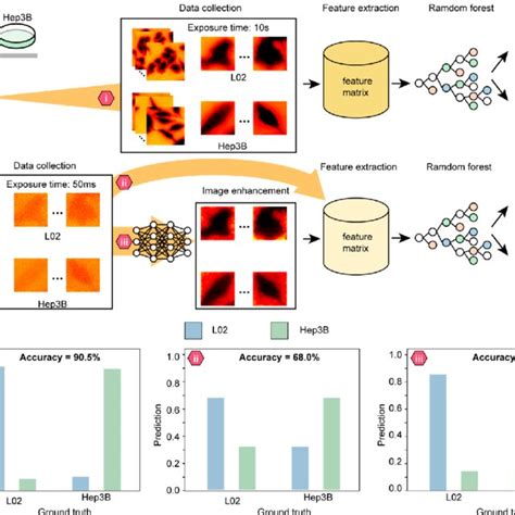 Machine Learning Assisted Cell Identification A The Flow Diagram Of Download Scientific