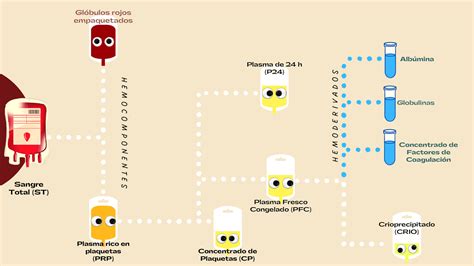 Hemocomponentes Y Hemoderivados De La Sangre Esquemas Y Mapas Conceptuales De Química Docsity