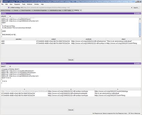 Rdf How Can I Add Anonymous Individuals In Protege Stack Overflow