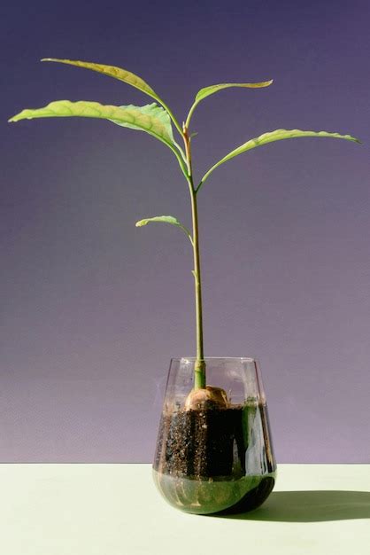 Premium Photo 3d Picture Art And Design Conceptualization