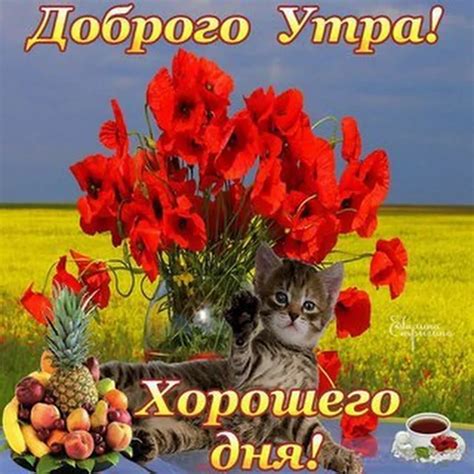 Пожелание доброго летнего утра четверга 76 фото