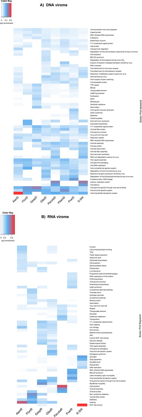 Coral Associated Viral Communities Show High Levels Of Diversity And Host Auxiliary Functions