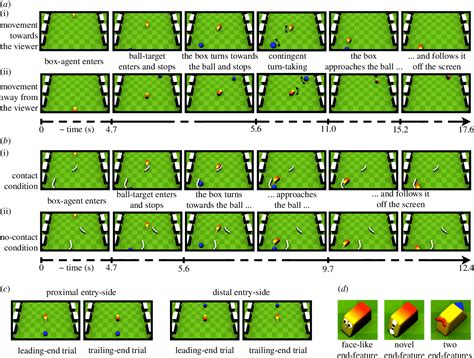 Figure 1 From Action Anticipation In Human Infants Reveals Assumptions About Anteroposterior