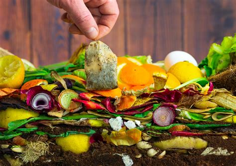 Convierte Tu Basura Orgánica En Oro Para Tus Plantas La Guía Para