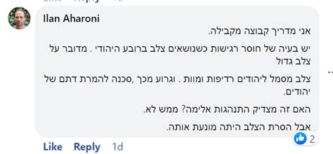 The Tour Guide Ilan Aharoni