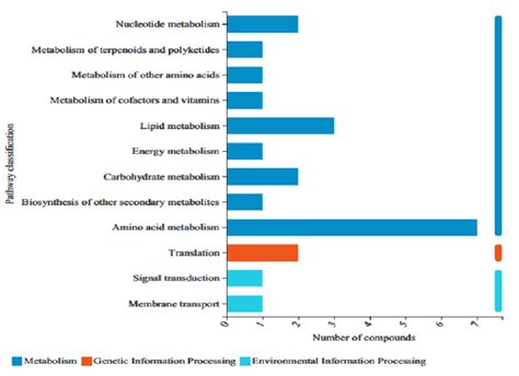 Statistical Diagram Of Kegg Functional Pathway In Z 2 Gs 2 Vs Gs Download Scientific Diagram