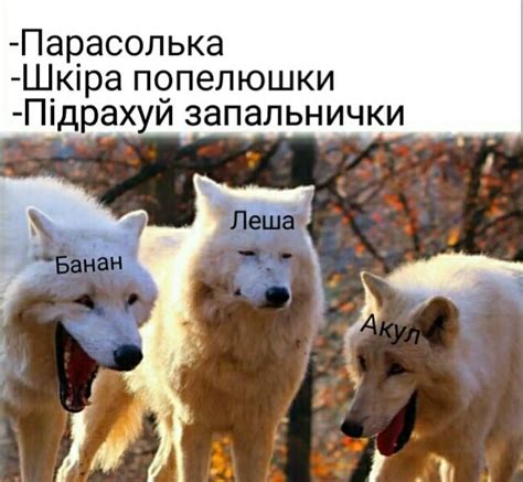 Банановый Рай : r/Jolygolf