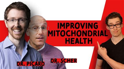 Boosting Mitochondrial Health A Comprehensive Guide To Enhance Your Cellular Powerhouses RF