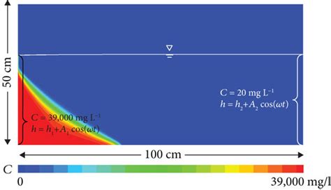 A Numerical Simulation Of The Steady State Salinity Distribution Used