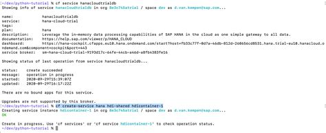 Service Instances Migrating From The Neo Environ Sap Community